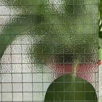 wired patterned glass