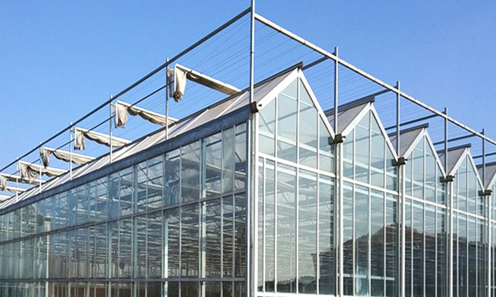 Double coating greenhouse glass|greenhouse glass|greenhouse glass panels